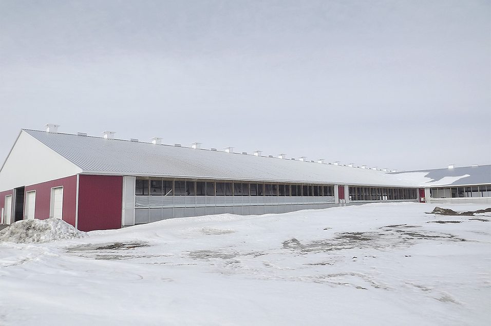 Managing winter temperatures in naturally ventilated dairy barns | Ag Proud